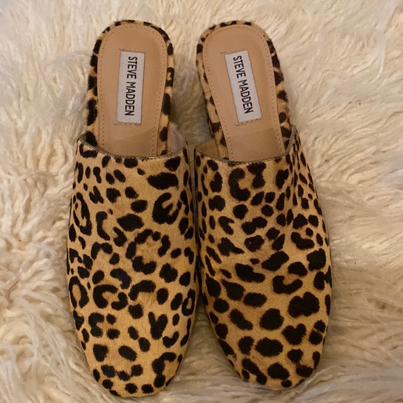 Steve Madden | Shoes | Steve Madden 2 Inch Heel Mule Animal Leopardi ...